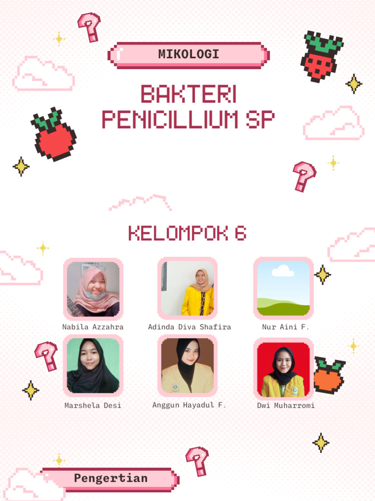 Kel 6 Mikologi - Bakteri Penicillium Sp. | PDF