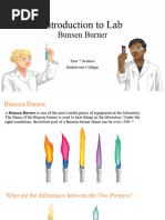Labelling The Bunsen Burner Worksheet Support | PDF
