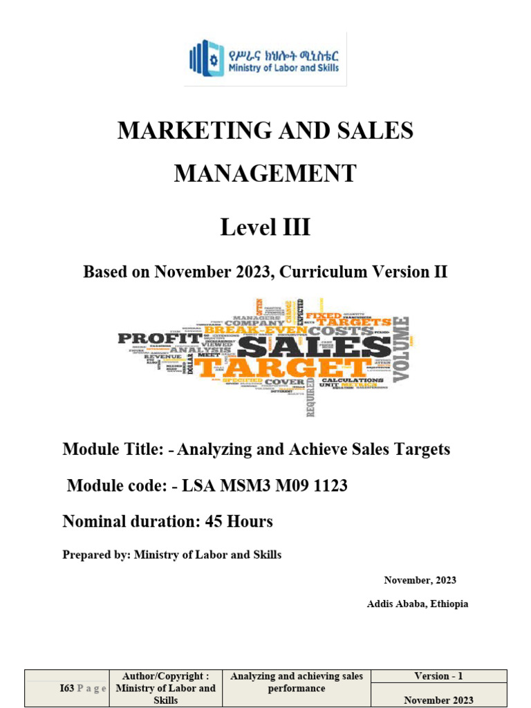 MO9 - Analyzing Sales Targets | PDF | Sales | Product (Business)