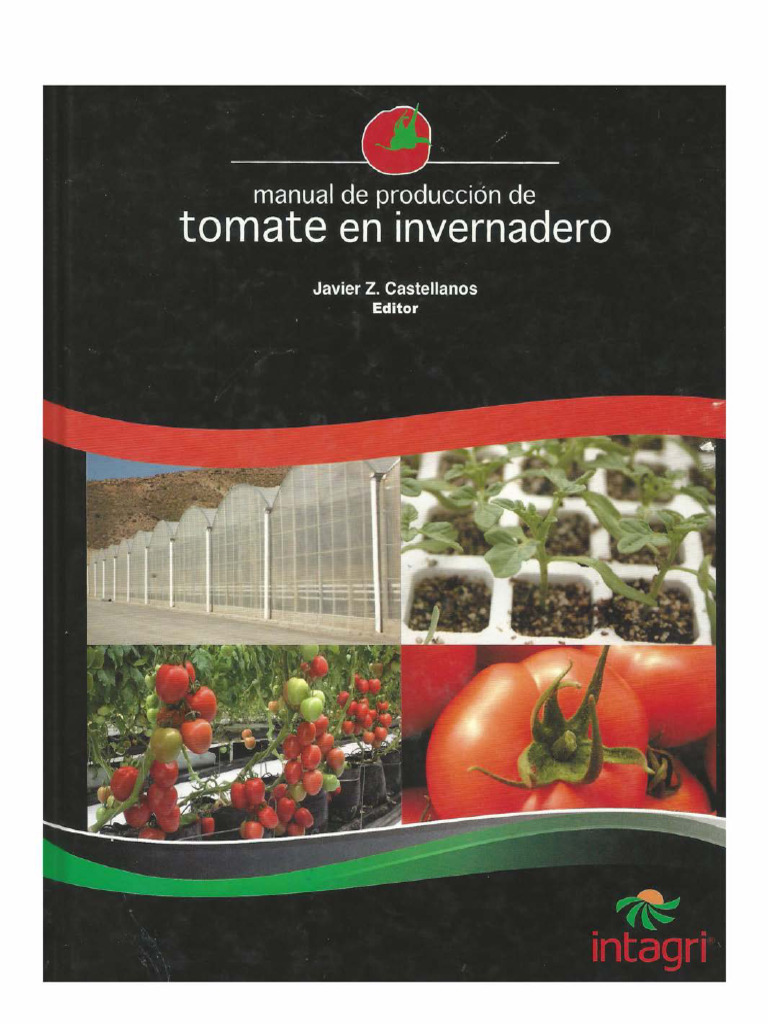 Manual De Producción De Tomate En Invernadero Javier Z Castellanos