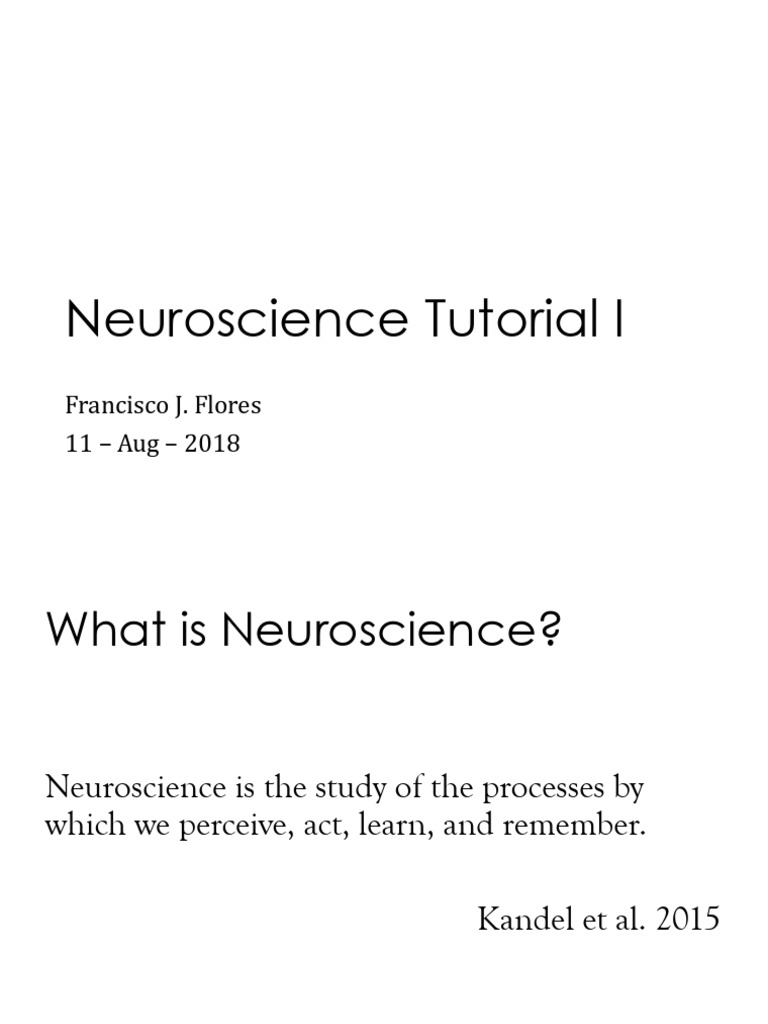 Neuroscience Tutorial 1 | PDF | Action Potential | Neuron