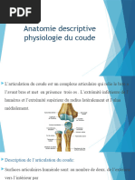 Anatomie détaillée du coude humain | PDF | Articulation (anatomie) | Anatomie humaine