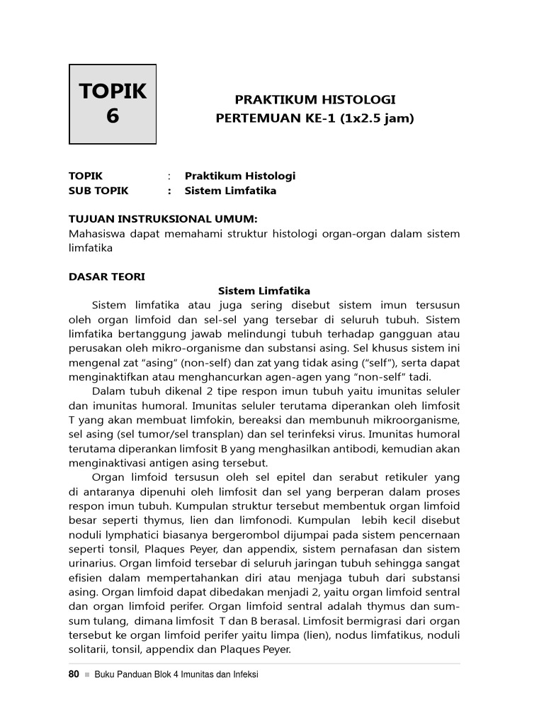 Prometheus Atlas Anatomi Manusia | PDF