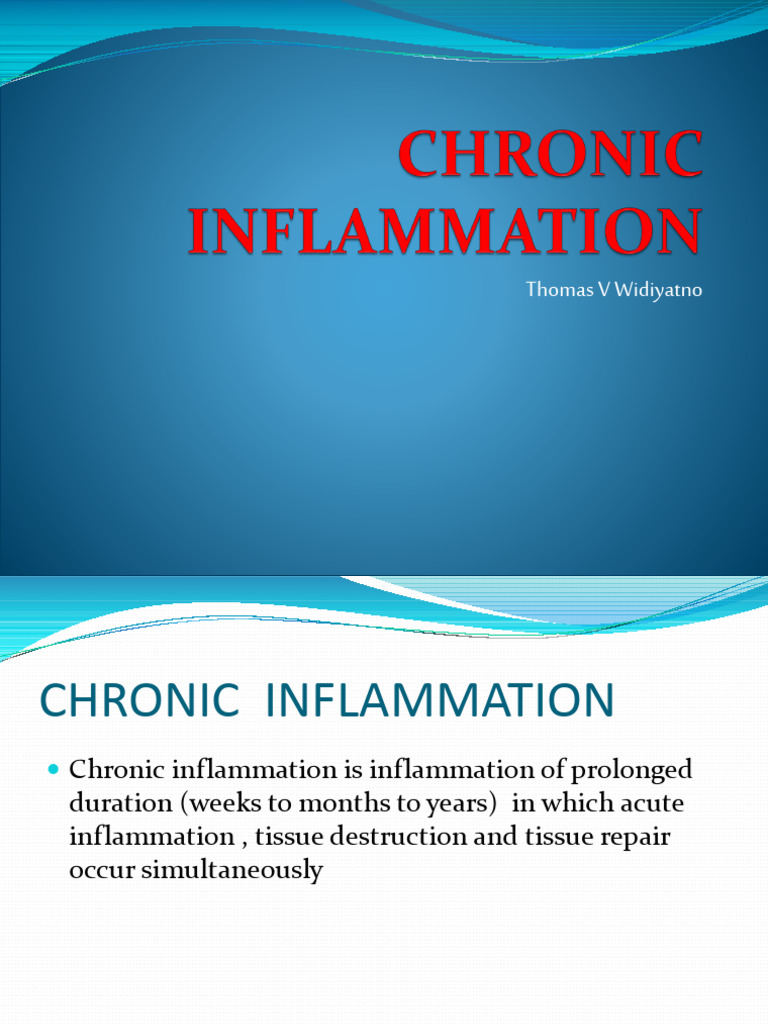 Chronic Inflammation | PDF | Inflammation | Macrophage