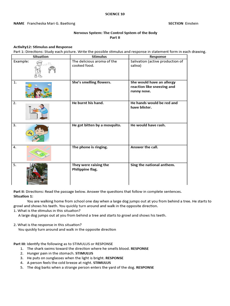 Worksheet Stimulus and Response | PDF | Homeostasis | Nerve