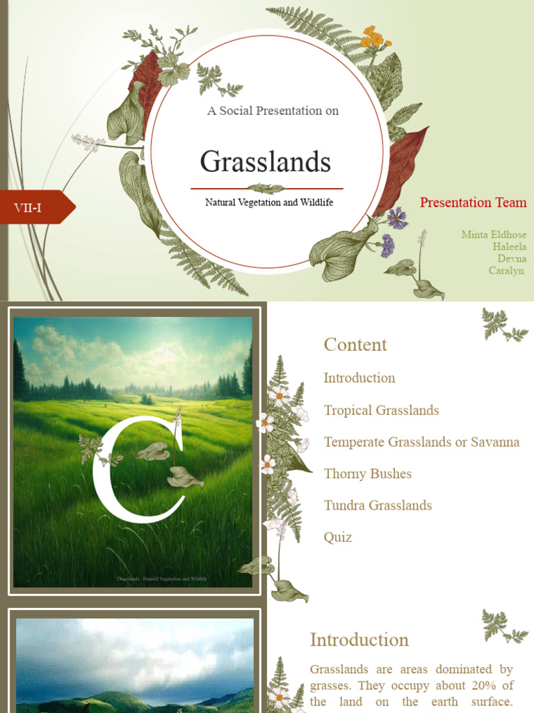 Grasslands | PDF | Grassland | Savanna