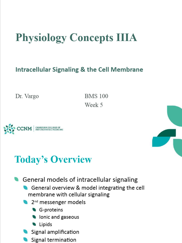 Cp3 Intracellular Signaling At The Cell Membrane Pdf Cell