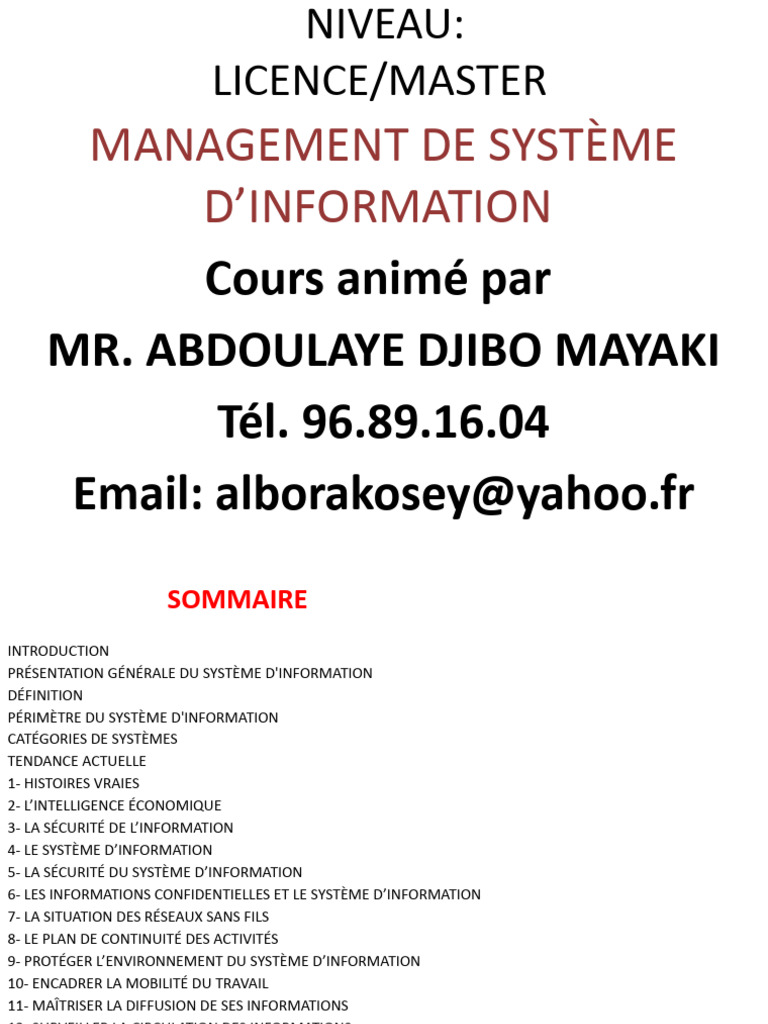 Management Du Système de L'information-1 | PDF | Système d'information | Sécurité des systèmes d ...