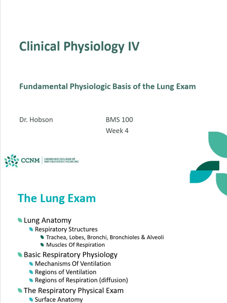 CP4. Respiratory System | PDF | Lung | Respiratory Tract