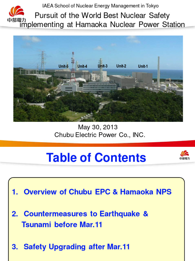 Management-Nuclear Power Plant | PDF