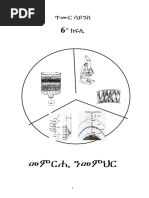 Grade 6 Tigrigna | PDF