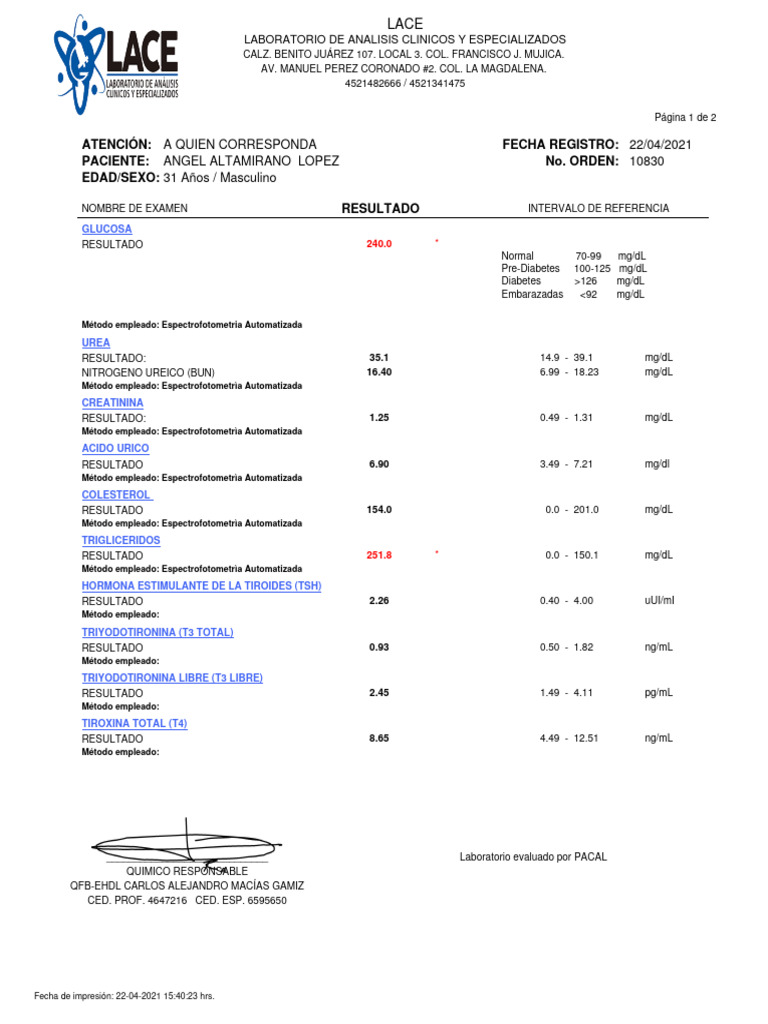 ESTANDAR 1619124000w | PDF