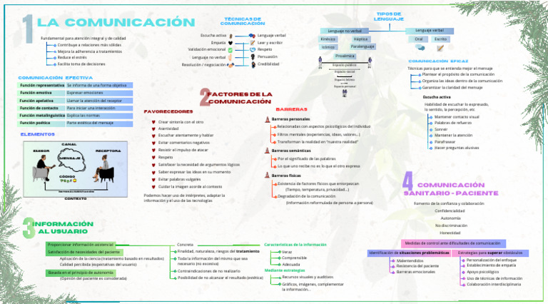 Esquema T-6 Manuel Viudes | PDF | Comunicación | Comunicación no verbal