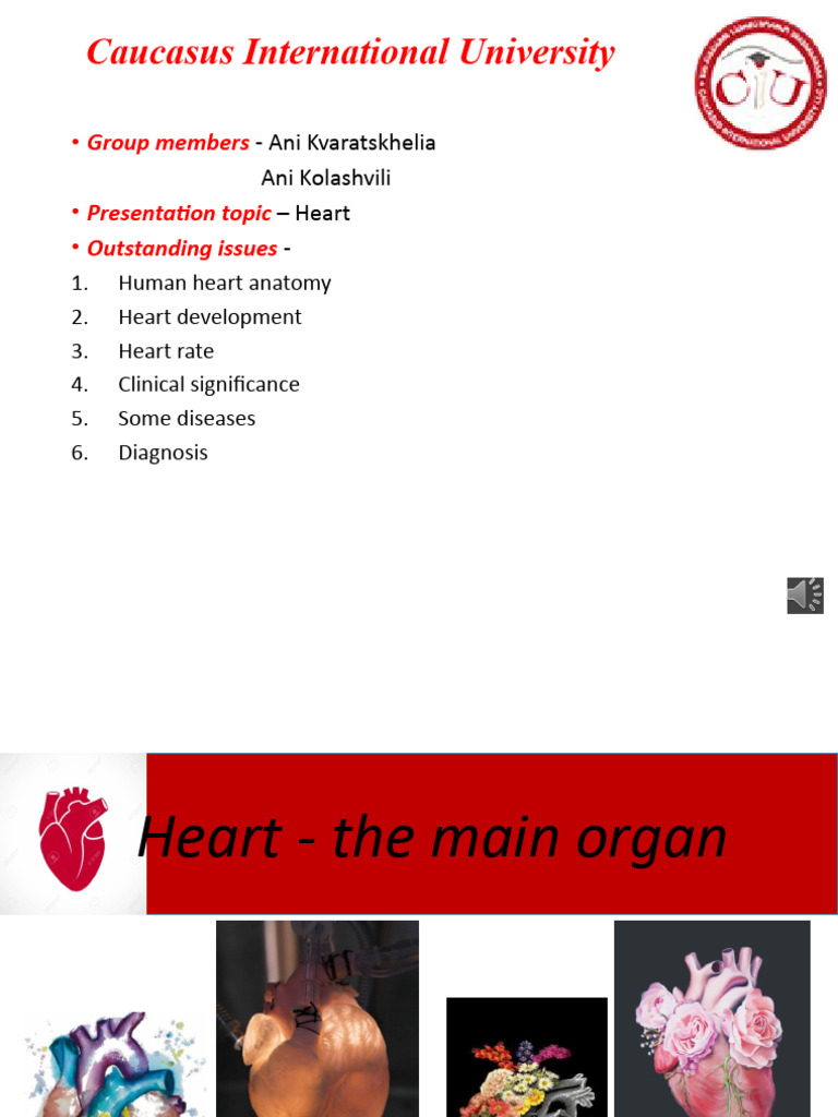 Heart Presentation | PDF | Heart | Atrium (Heart)