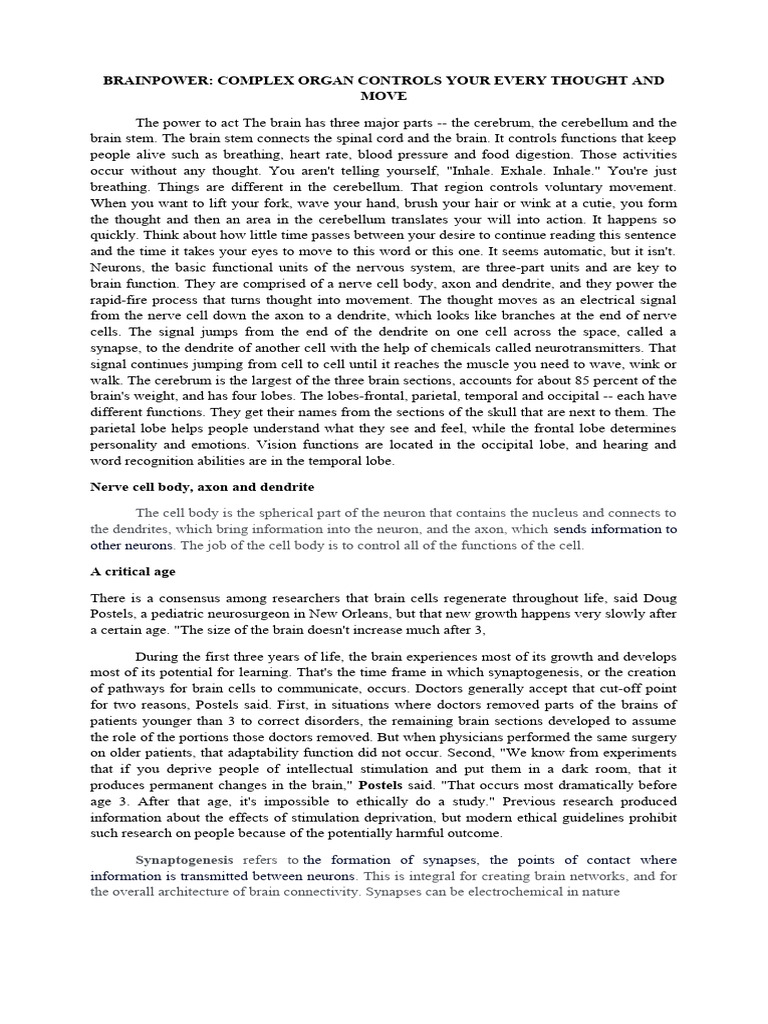 BRAINPOWER | PDF | Neuron | Brain BRAINPOWER | PDF | Neuron | Brain