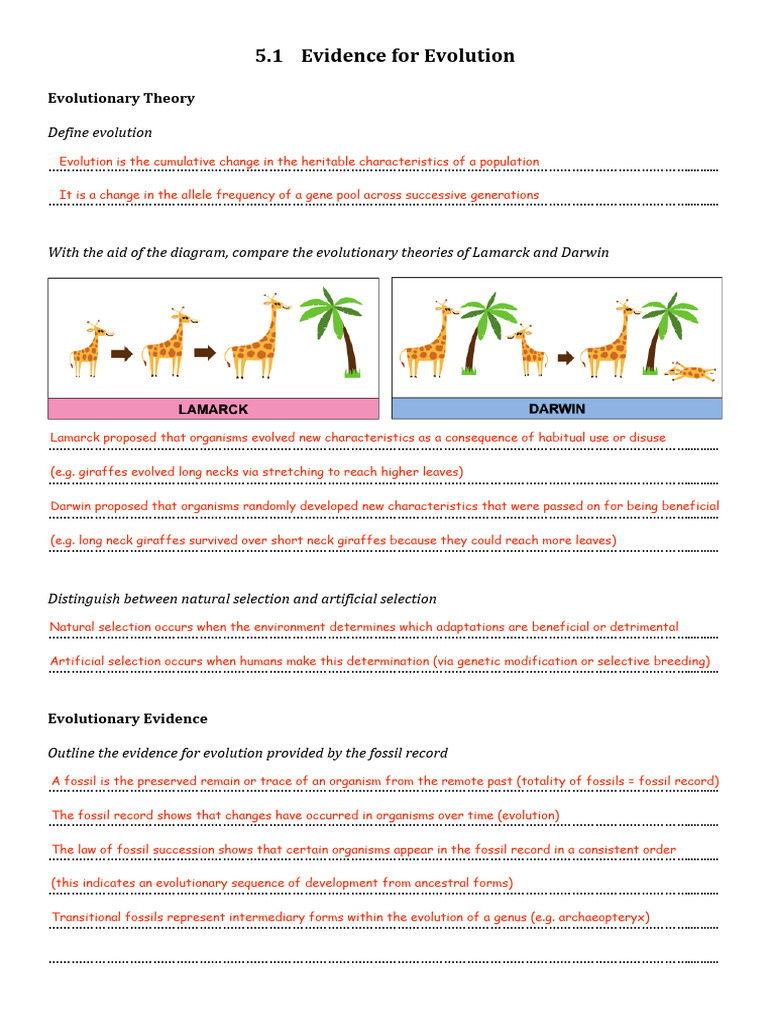 Topic 5.1 Worksheet (Answers) | PDF | Evolution | Natural Selection