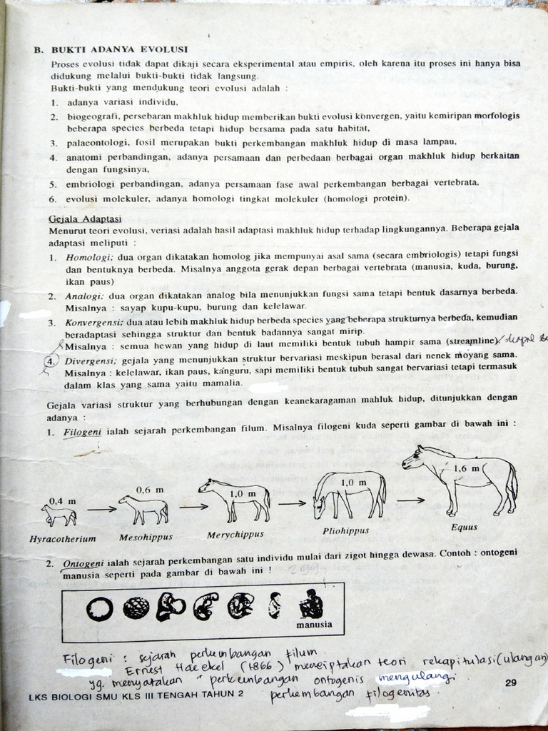 Evolusi 2 | PDF