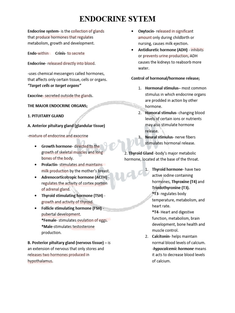 Endocrine System Reviewer Lec | PDF | Endocrine System | Hormone