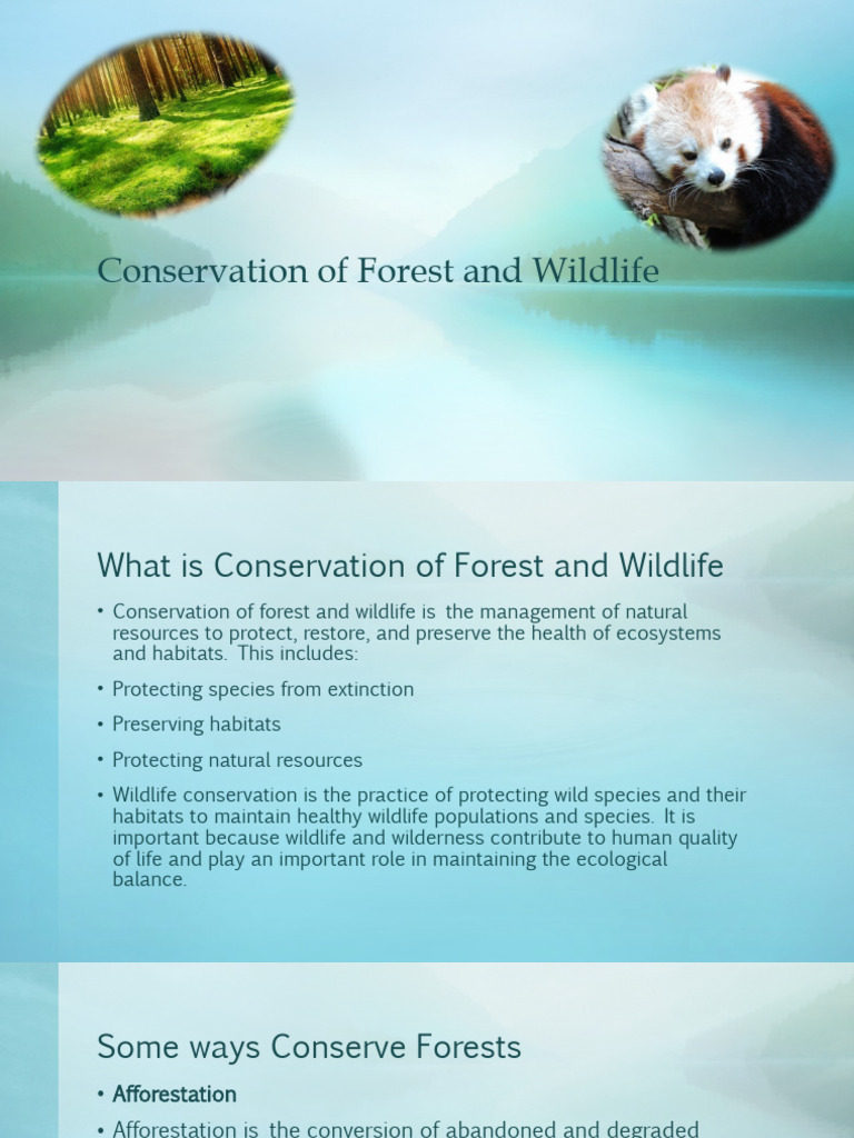 Conservation of Forest and Wildlife | PDF | Conservation Biology | Forests