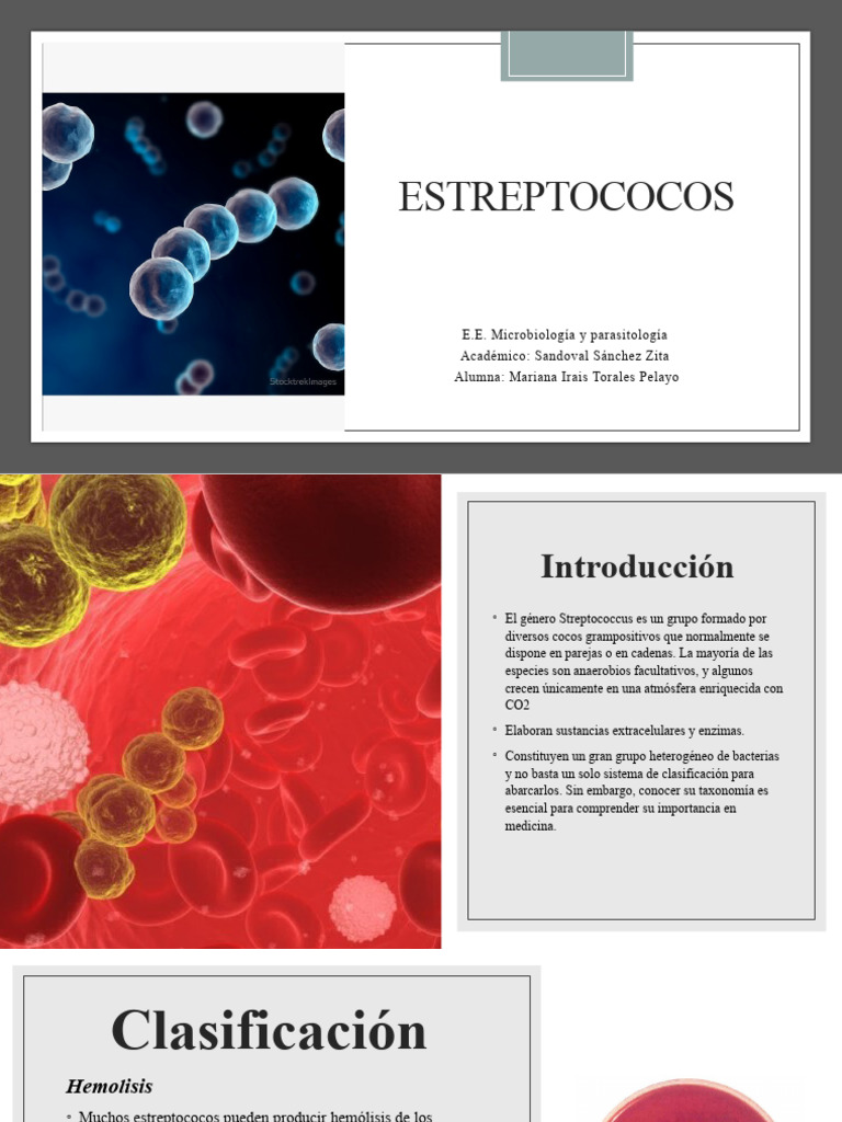 9.estreptococos ToralesPelayo | PDF | Estreptococo | Inmunología