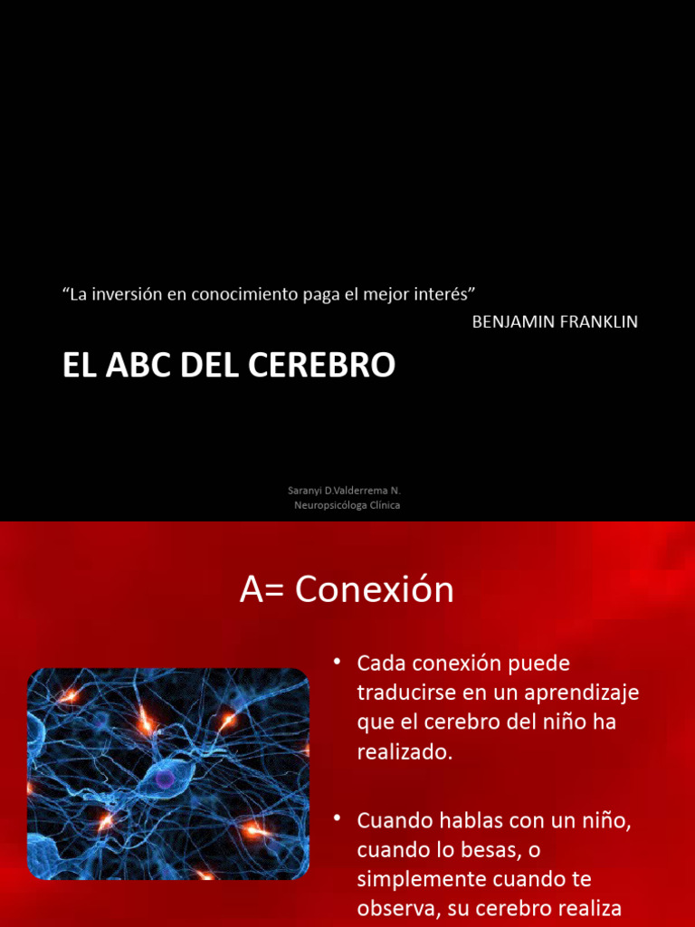 ABC Del Cerebro para Enfermería | Descargar gratis PDF | Empatía | Las ...