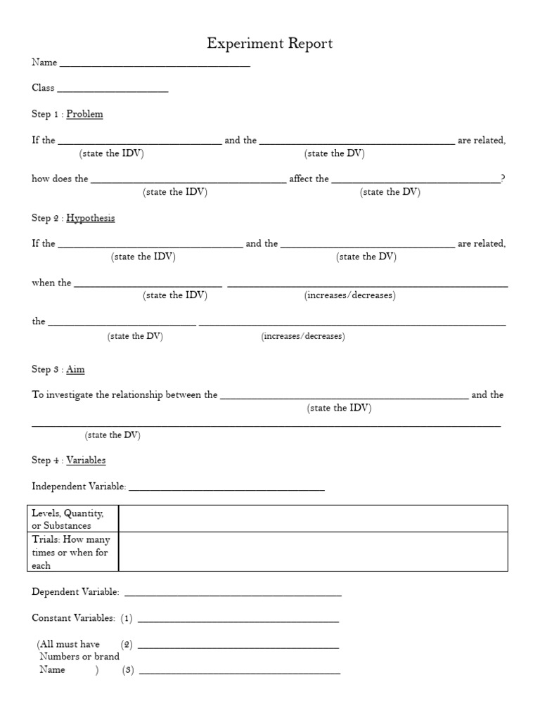 Form 2 Assessment - Criterion B and C (Report Guidance) | PDF
