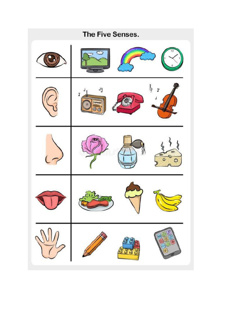 Afazija Slike 25.12.2023. | PDF