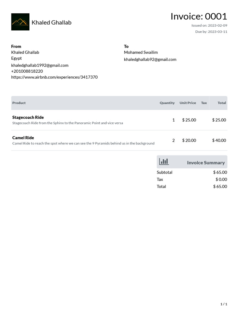 Invoice for Egypt Ride Experiences | PDF