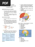 Coma Recovery Scale - Revised (CRS-R) PDF | PDF | Coma | Finger