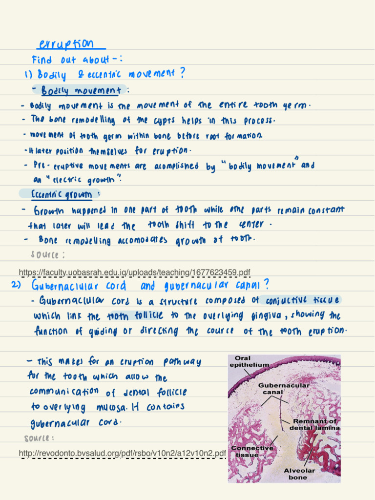 Oral Bio Question Simple | PDF | Tooth | Human Anatomy