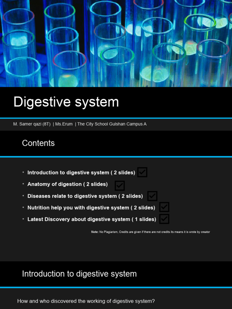 Digestive System | PDF | Human Digestive System | Stomach