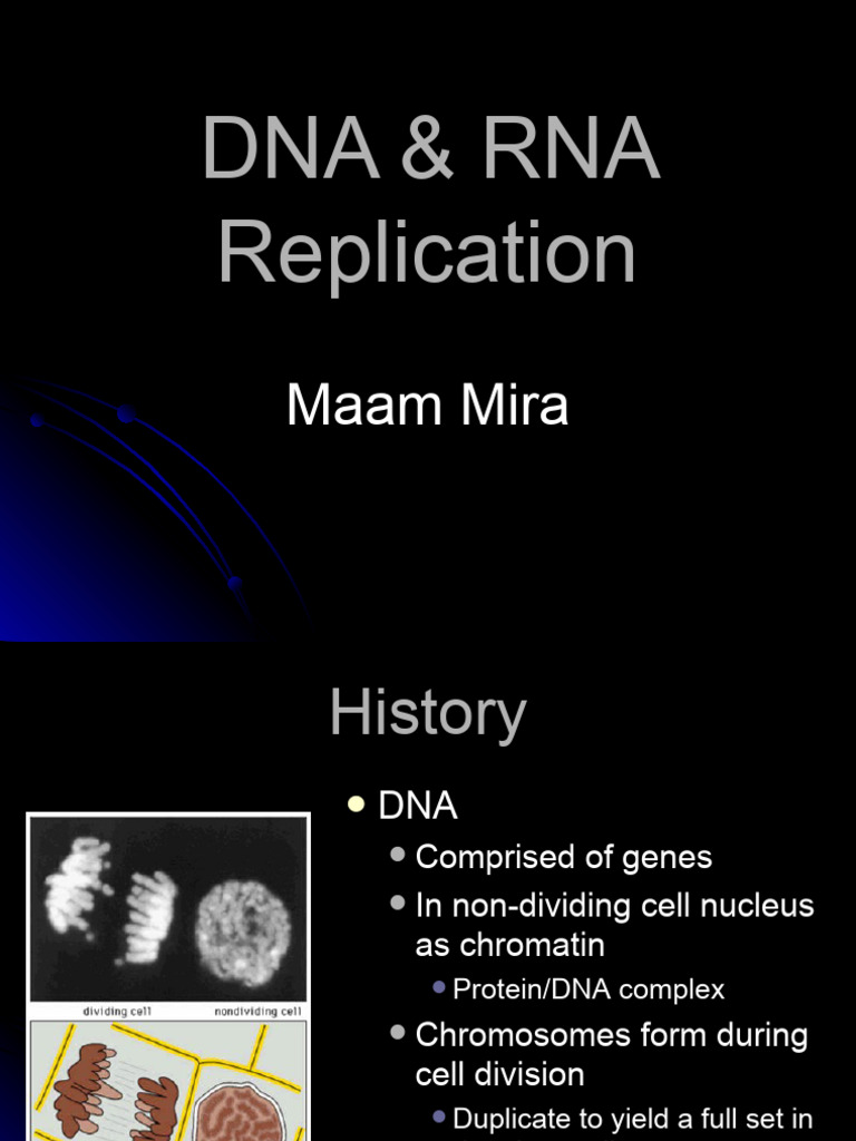 Chapter 5 & 6 - DNA & DNA Replication | PDF | Dna Replication | Dna
