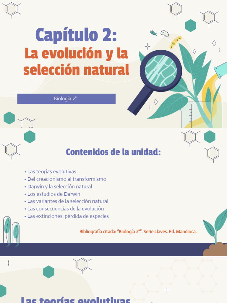 La Evolución y La Selección Natural | PDF | Evolución | Seleccion natural