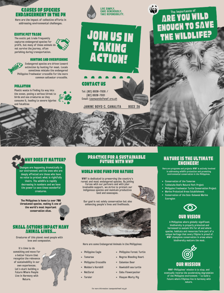 Brochure Endangered Animals | PDF | Endangered Species | Conservation ...