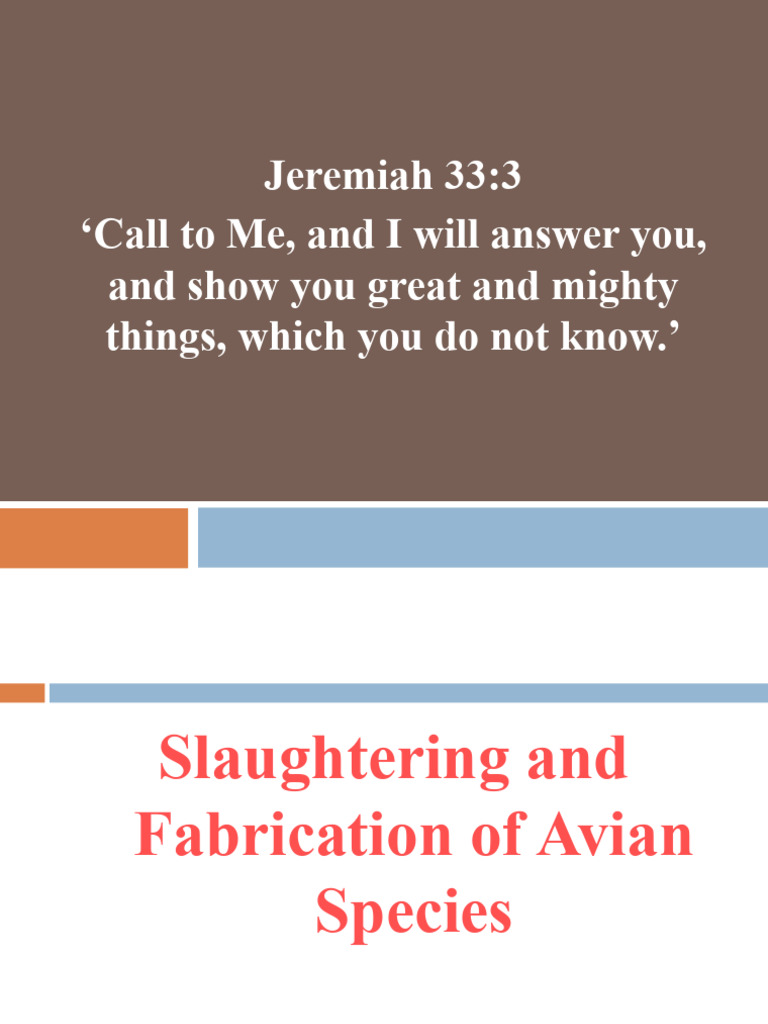 Avian Slaughter and Fabrication Guide | PDF | Thorax | Birds