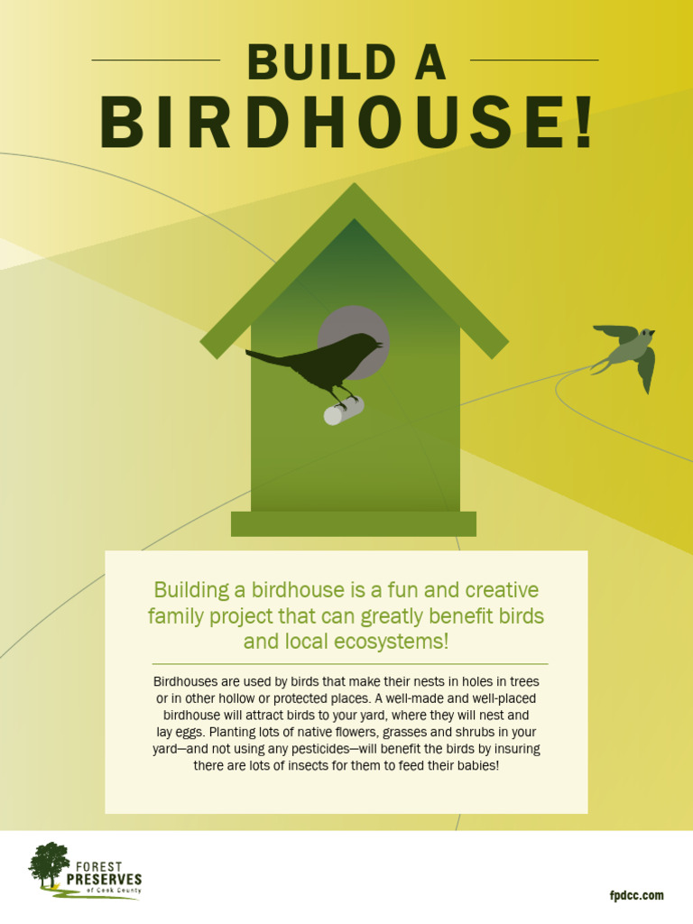 Build a Birdhouse: DIY Guide & Tips | PDF | Drill | Birds