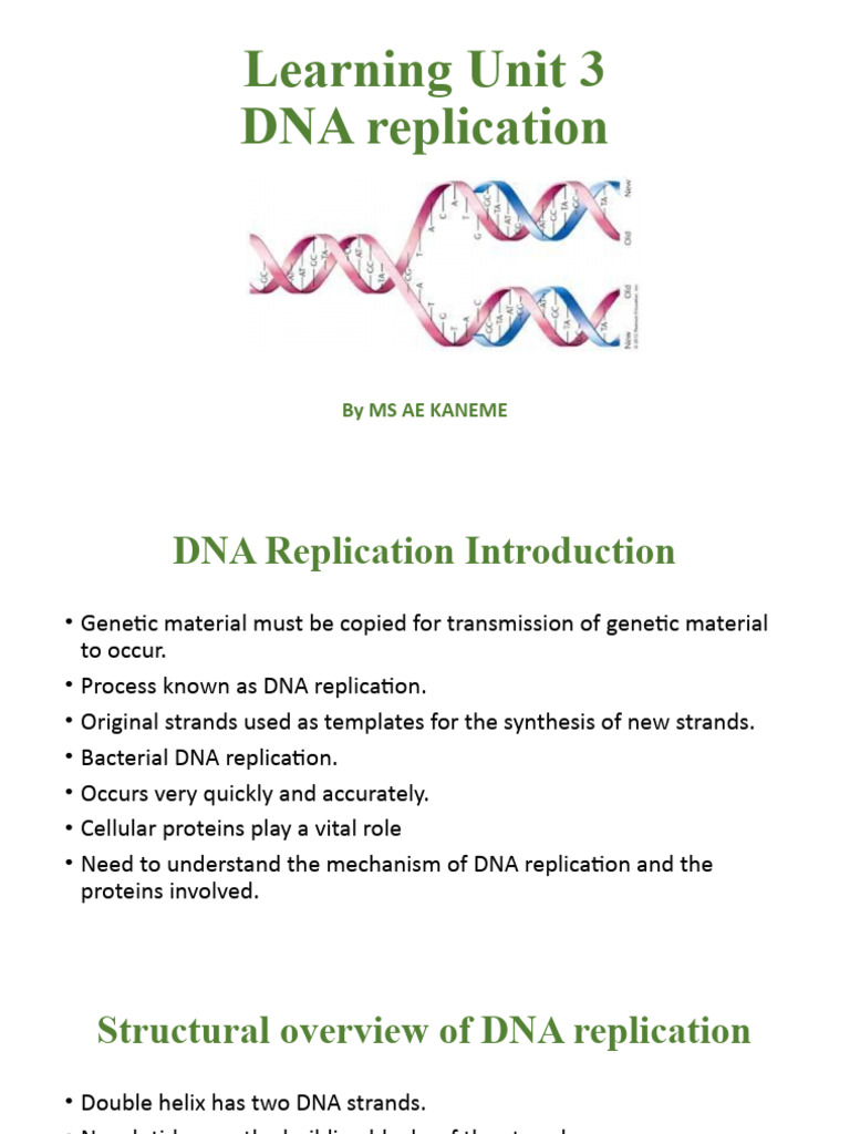 Learning Unit 3 - PART 2 - DNA Replication | PDF | Dna Replication | Primer (Molecular Biology)
