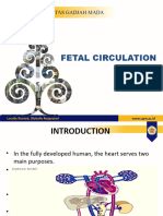 Fetal Circulation Flow Chart | PDF