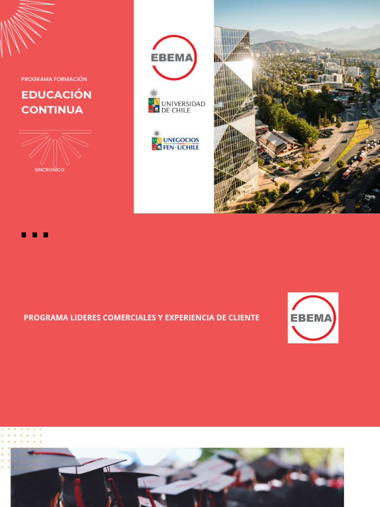 Ebema - Lideres en Venta y Experiencia de Clientes | PDF