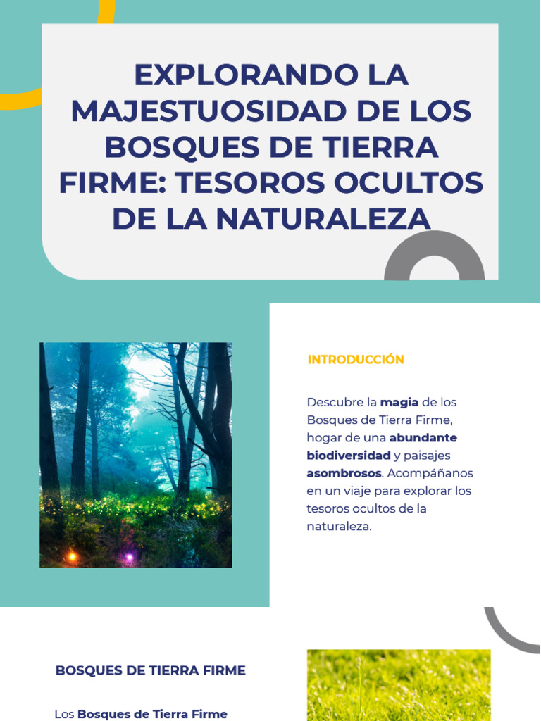 Majestuosidad de los Bosques de Tierra Firme | PDF