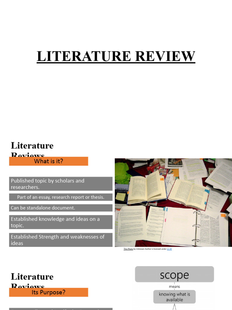 Writing Effective Literature Reviews | PDF | Cognition | Cognitive Science