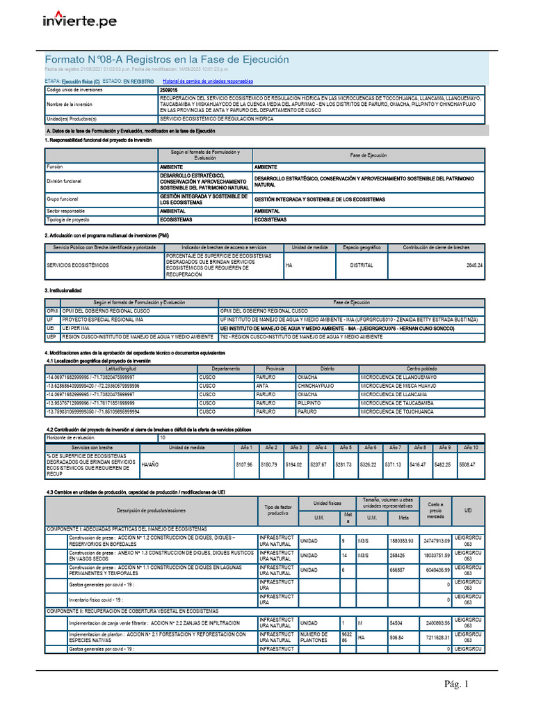 FORMATO 8A Registro en Fase de Ejecucion | PDF | Creación de capacidad ...