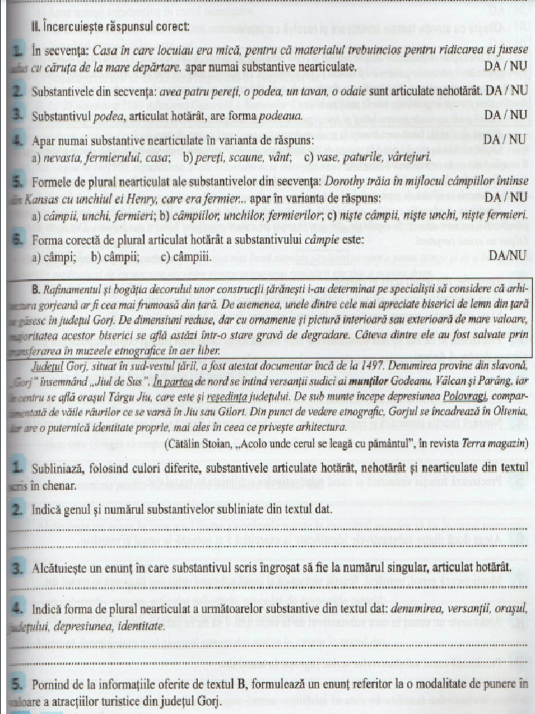 Fisa de Lucru Substantiv | PDF