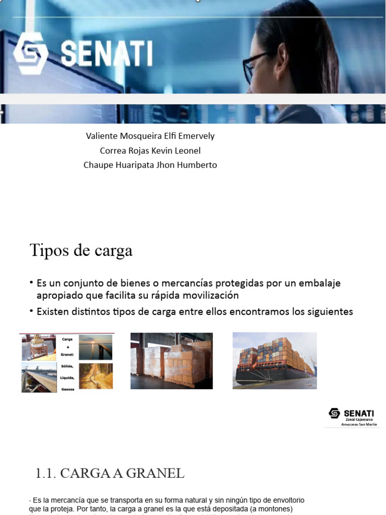 TIPOS DE CARGA GRANEL, PALETIZACIÓN Y CONTENEDORIZACIÓN-grupo 4 | PDF