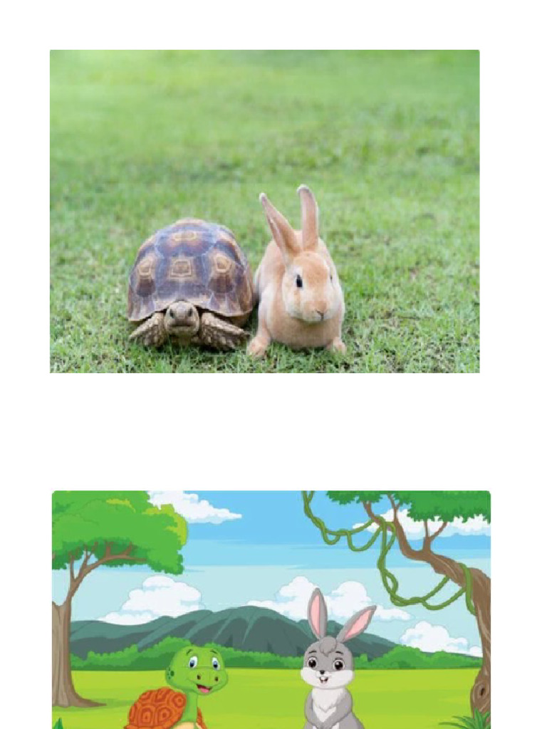 Hare and Tortoise Pix | PDF