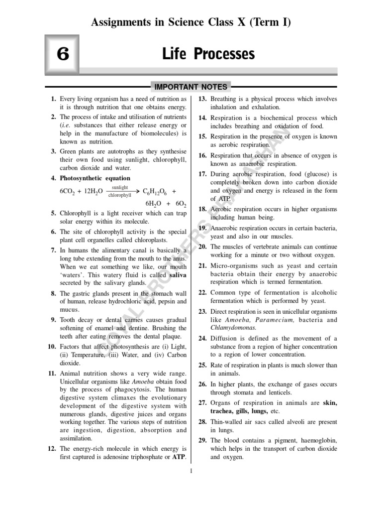 Pro Science | PDF | Respiratory System | Kidney