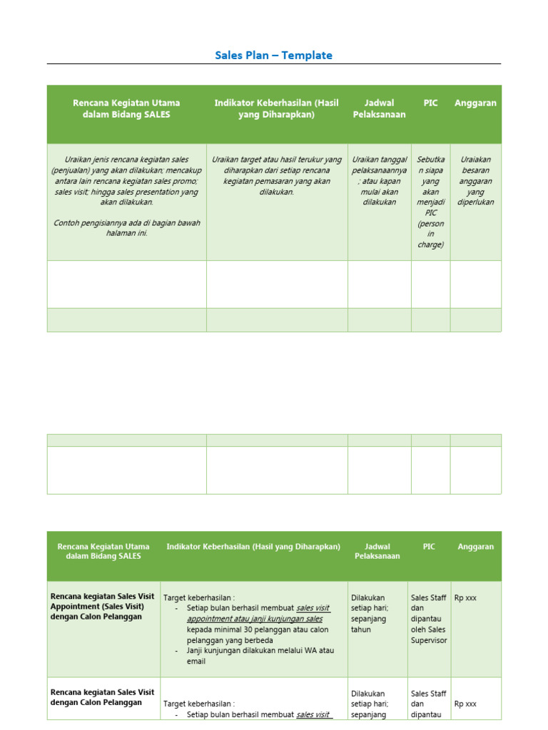 Sales Plan | PDF | Bisnis | Pengelolaan Keuangan & Uang