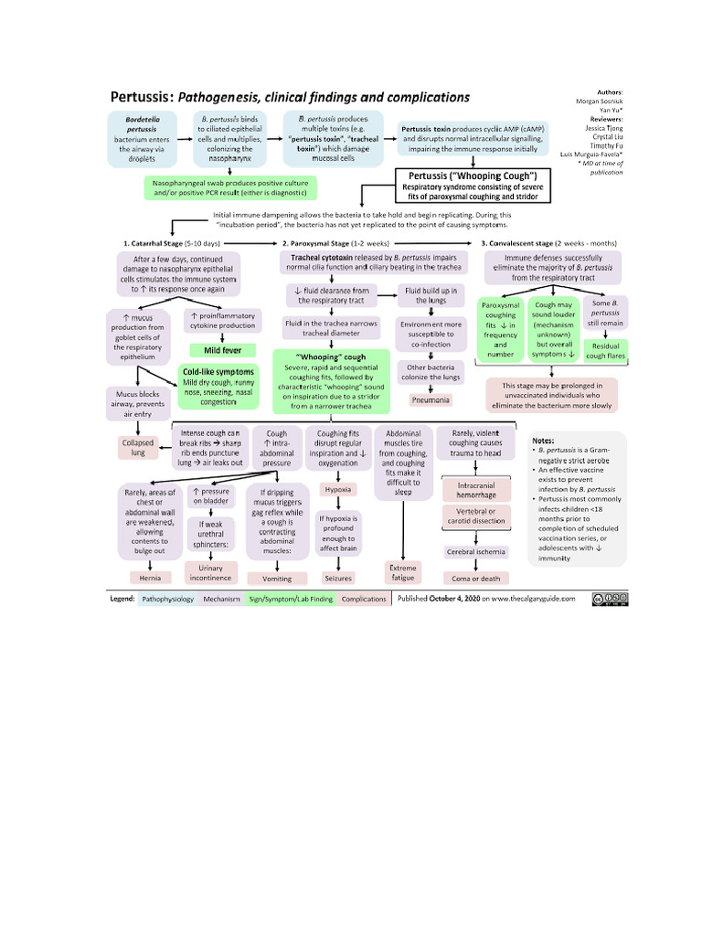 Pertusis | PDF
