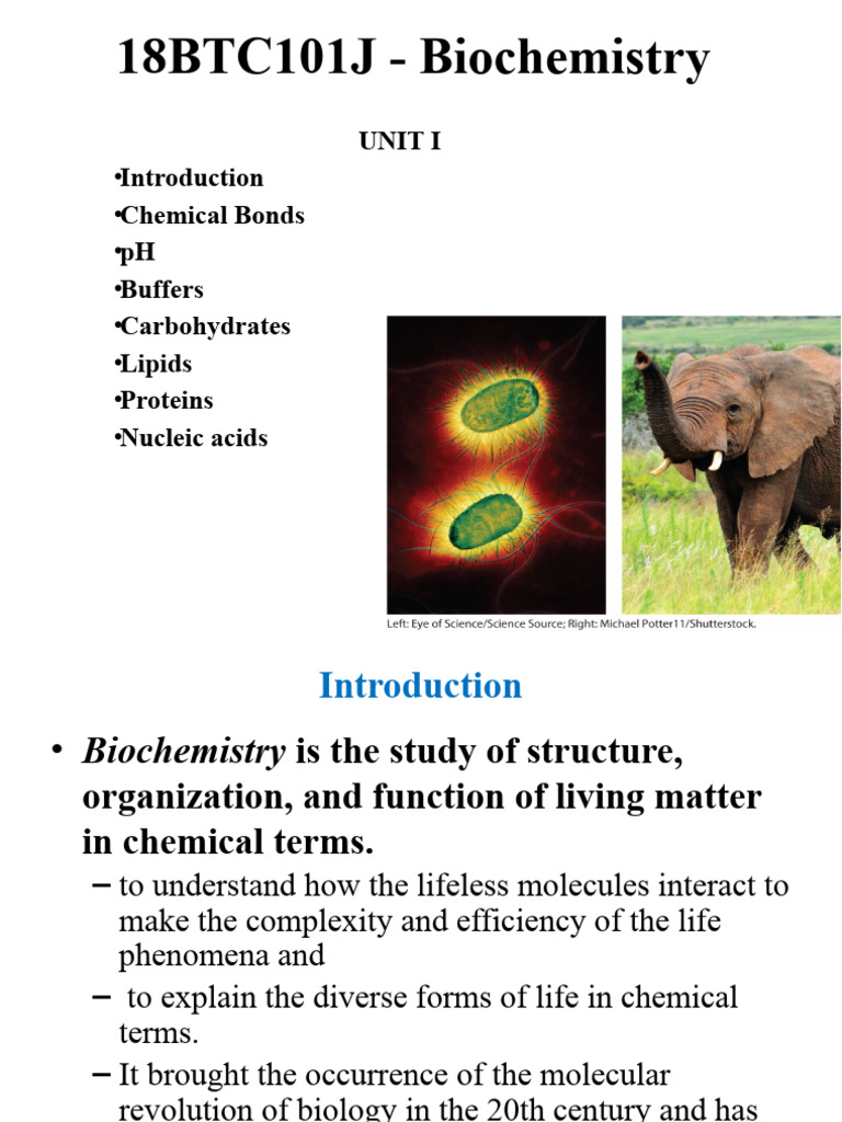Biochemistry: Key Concepts and Molecules | PDF | Carbohydrates | Fatty Acid