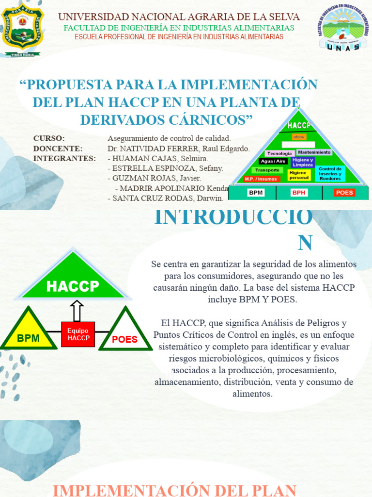 Implementación HACCP en Derivados Cárnicos | PDF | Análisis de Riesgo y Puntos Críticos de ...